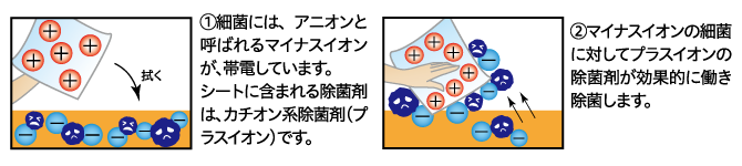 エルモアfukutおそうじシート キッチン用除菌99.9% ｜ 商品情報 ｜ エルモア